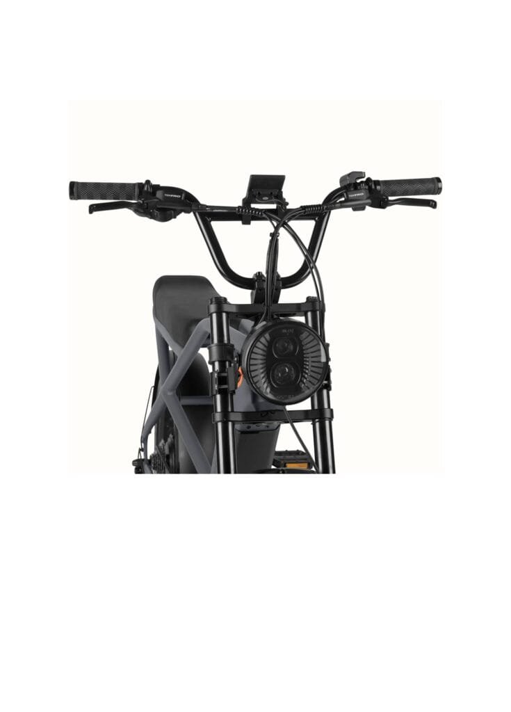 Retrospec Valen Rev+ Fat Tire Electric Bike – EWorld Computer