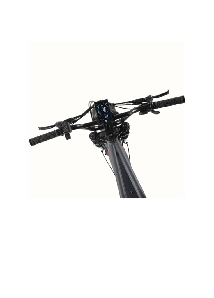 Retrospec Valen Rev+ Fat Tire Electric Bike – EWorld Computer